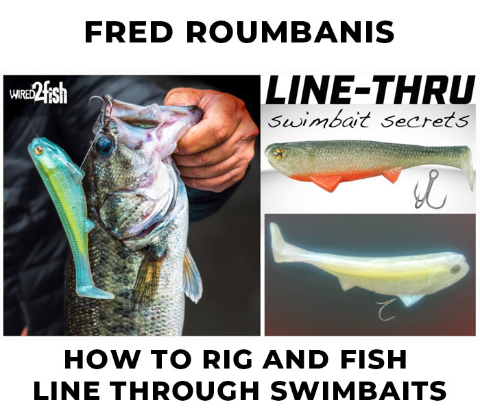 OPTIMUM BAITS - INNOVATION・DESIGN・PERFORMANCE - OPTIMUM BAITS
