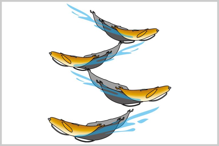 Sakamata Shad - OPTIMUM BAITS